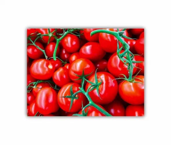 Tablou Canvas 1 piesa Rosii 0391 120X90 cm C24-0391-B-1-120X90 - cel.ro