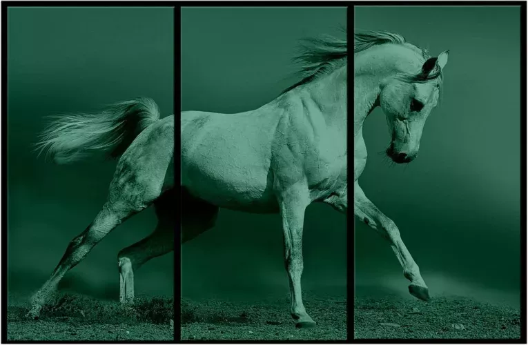 Set tablou DualView Startonight Cal arab luminos in intuneric 60 x 90 ...