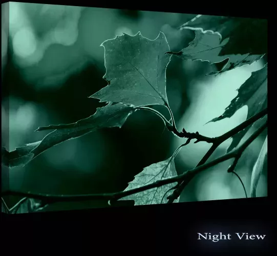 Tablou DualView Startonight Copac pe campul inverzit luminos in ...