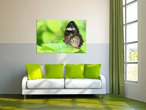 Tablou DualView Startonight Fluture pe frunza luminos in intuneric 80 x ...
