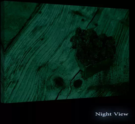 Tablou DualView Startonight Inima din Flori luminos in intuneric 120 cm ...