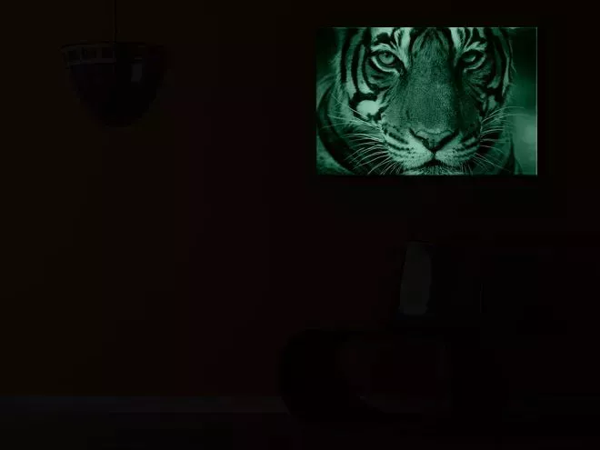 Tablou DualView Startonight Tigru bengalez luminos in intuneric 80 x ...
