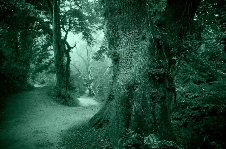 Tablou DualView Startonight Verde crud luminos in intuneric 80 x 120 cm ...