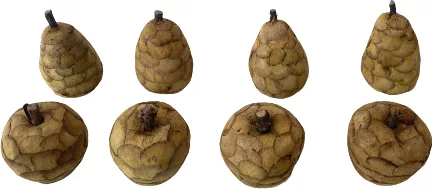 Set mere si pere Handmade Obiecte decorative Fructe Lemn Fibre vegetale ...