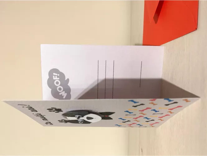 Set 4 felicitari 3D Animalute Dragute A6 plic colorat inclus GCPSETFE2 ...