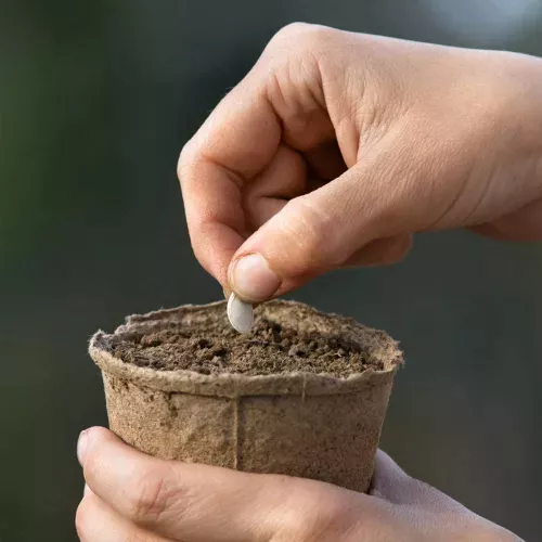 Ghivece pentru rasaduri biodegradabil rotunde set 24 bucati d2-seg ...