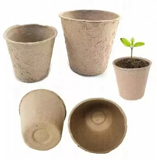 Ghivece pentru rasaduri biodegradabil rotunde set 24 bucati d2-seg ...