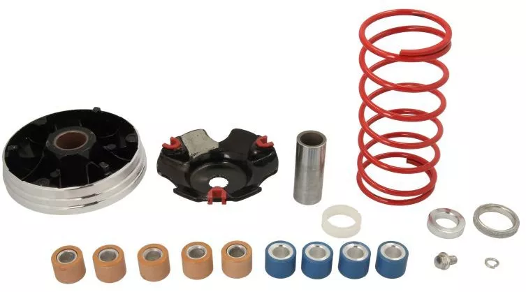 Variator tuning Piaggio Typhoon/Gilera/Zip 14mm 9 role RM000026 - cel.ro