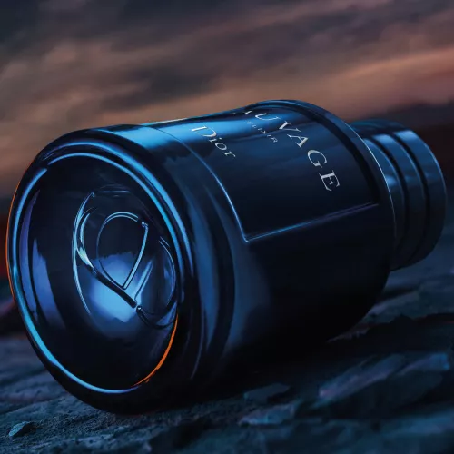 DIOR Sauvage Elixir 60 ml 7967349377 - cel.ro