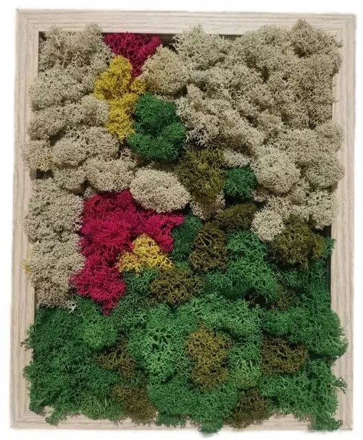 Aranjament Licheni Speranta 220 x 270 mm 5949376220269 - cel.ro