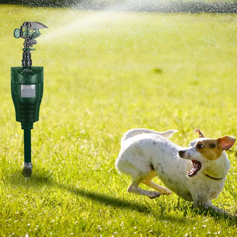 Aparat cu Jet de apa 10m Anti Pasari Caini Pisici Animale Garden Water ...