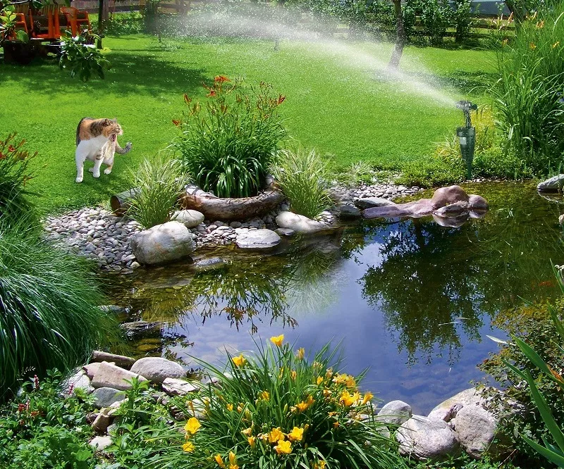 Aparat cu Jet de apa 10m Anti Pasari Caini Pisici Animale Garden Water ...