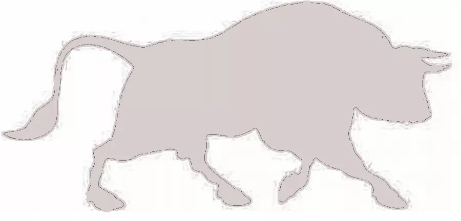 Sticker Auto Taur 20x10 cm alb yhxe_322026740 - cel.ro