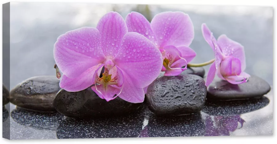 Tablou canvas luminescent luminos in intuneric GlowforHome Dualv-View ...