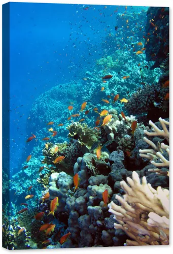 Tablou canvas luminescent luminos in intuneric GlowforHome Dualv-View ...