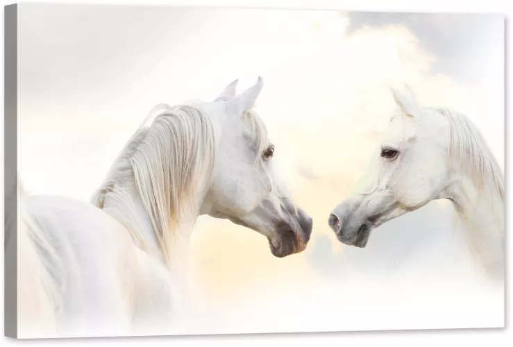 Tablou luminos in intuneric GlowforHome Cal alb arab 120 cm x 80 cm ...