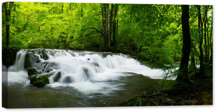 Tablou canvas luminescent luminos in intuneric GlowforHome Dualv-View ...