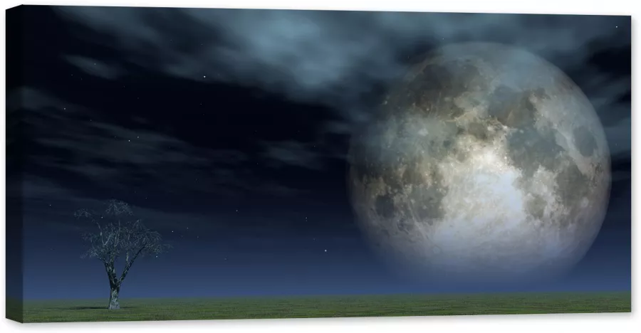 Tablou luminos in intuneric GlowforHome Copac singuratic la camp verde ...