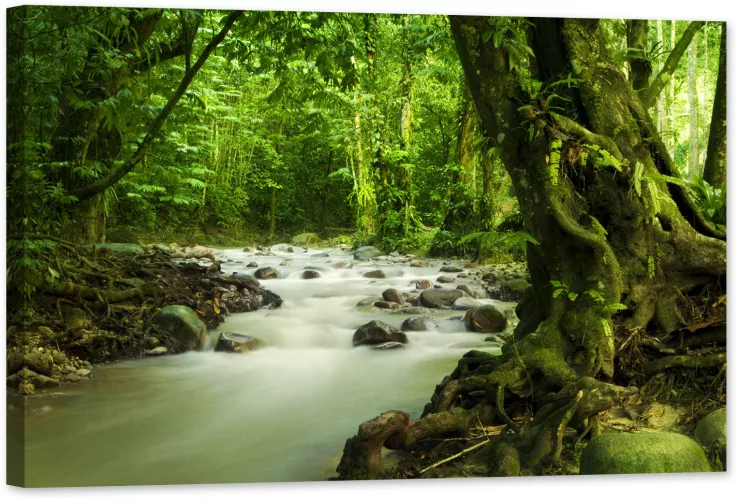 Tablou luminos in intuneric GlowforHome Copac verde 60 cm x 40 cm ss6c ...