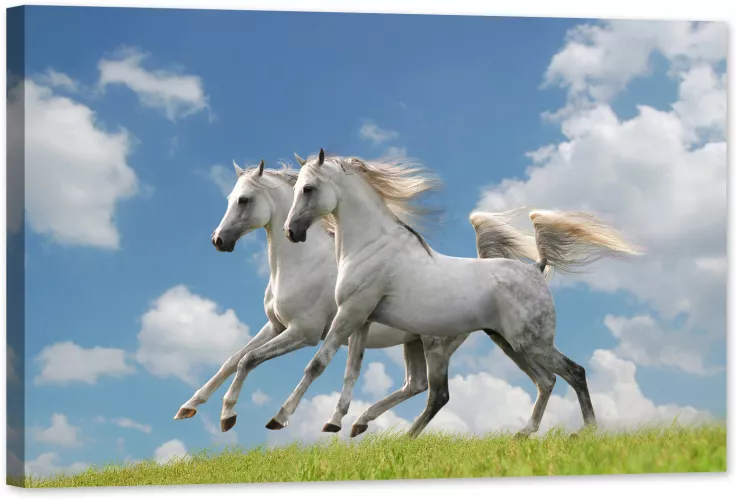 Tablou luminos in intuneric GlowforHome Doi cai arabi albi in camp 60 ...