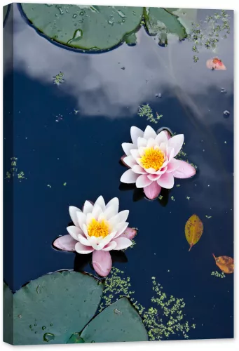 Tablou canvas luminescent luminos in intuneric GlowforHome Dualv-View ...