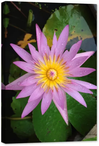 Tablou canvas luminescent luminos in intuneric GlowforHome Dualv-View ...