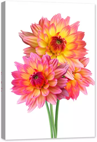 Tablou canvas luminescent luminos in intuneric GlowforHome Dualv-View ...