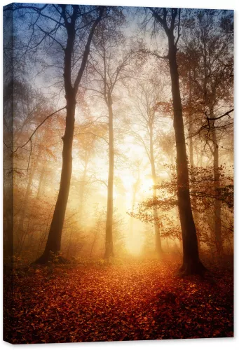 Tablou canvas luminescent luminos in intuneric GlowforHome Dualv-View ...