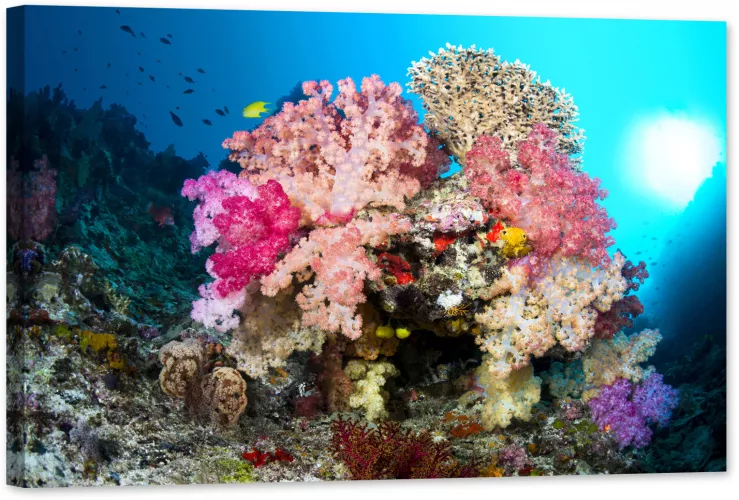 Tablou luminos in intuneric GlowforHome Recif de corali vibrant mare ...