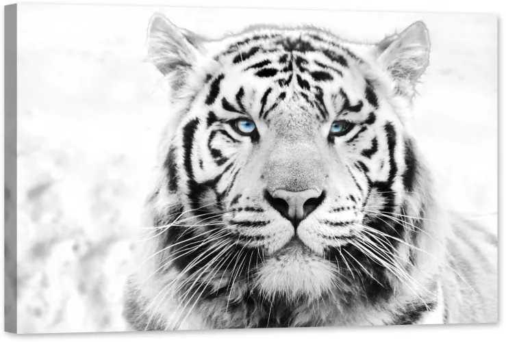 Tablou luminos in intuneric GlowforHome Tigru alb 60 cm x 40 cm eu1h_11759567 - cel.ro