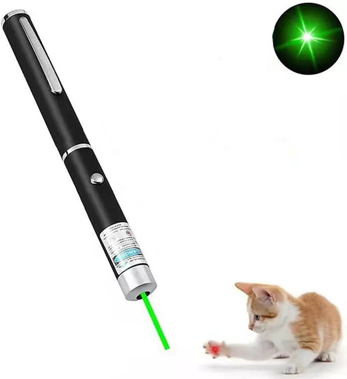 Laser pointer verde tip stilou metalic 3V ACCESORII8660. - cel.ro