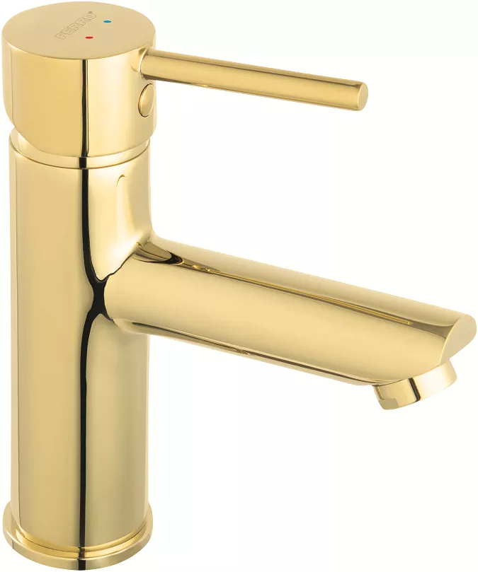 Pachet 3 in 1 Baterie dus Fiesta Gold Baterie Lavor Gold si Baterie ...