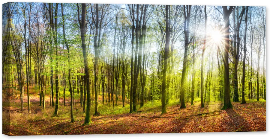 Tablou canvas luminescent luminos in intuneric GlowforHome Dualv-View ...