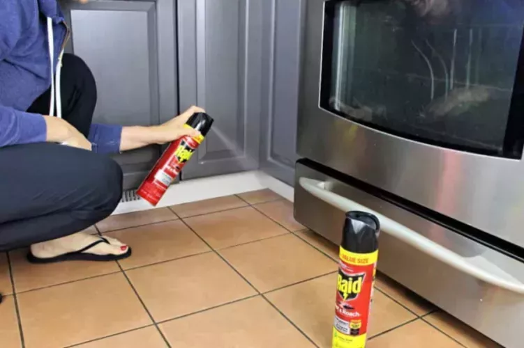 Raid Max 3 in 1 400 ml Insecticid Ideal pentru Gandaci si Furnici la CEL.ro