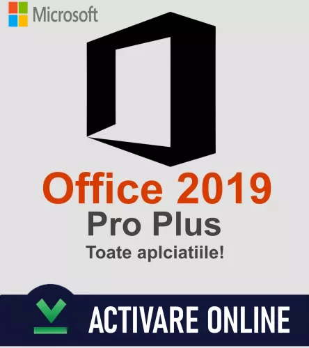 Office Pro Plus 2019 Retail - Licenta Permanenta - cel.ro