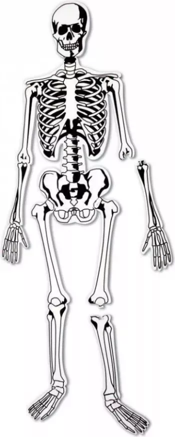 Puzzle de podea - Schelet ler3332