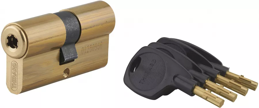 Butuc usa inalta securitate 31 x 31 mm Surveyor THIRARD 292162 - cel.ro