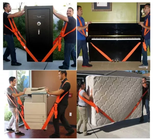 Set 2 hamuri si o pereche de chingi pentru transport Batavia 7062129 ...