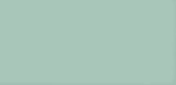 Cant soft touch AGT 735 RELAX GREEN 42x0.8 mm CC-AGT735-42X08 - cel.ro