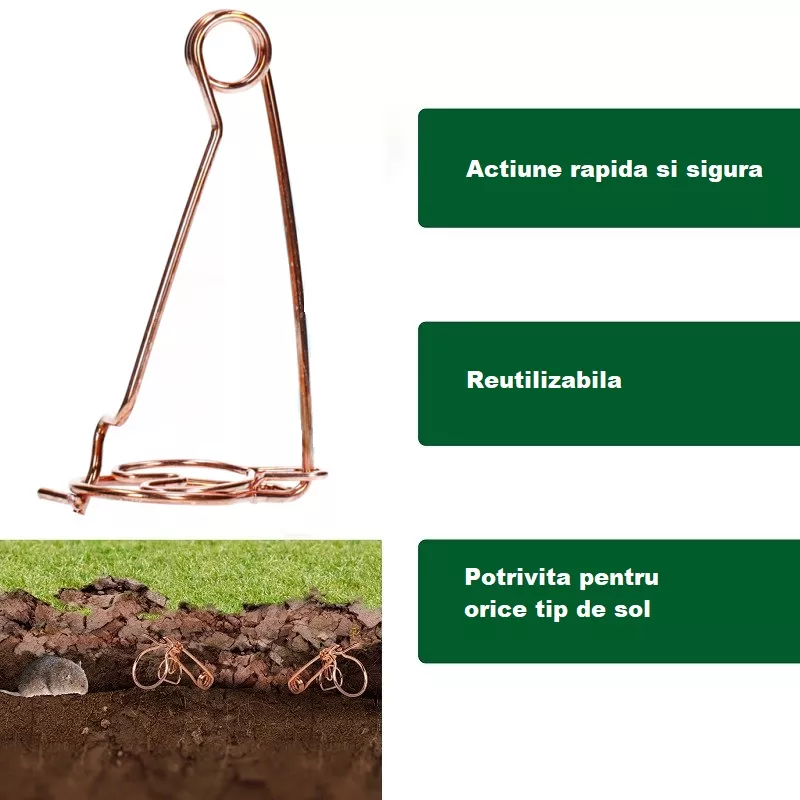 Capcana pentru Cartite Bavarian Trap PestX 6b1_BAV - cel.ro