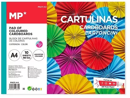 Carton colorat 10 coli A4 PN211-A4 - cel.ro