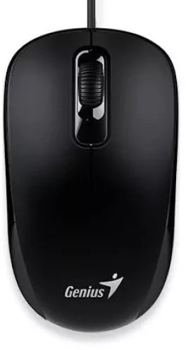 Mouse Genius Negru 31010026401