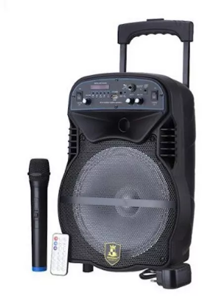 Boxa Activa Portabila Troller cu Microfon Bluetooth Display Fm Sd Aux ...