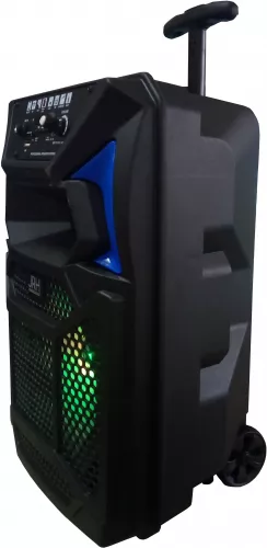 Boxa Audio Portabila Cu Troler Si Maner Retractabil Conectare Uusb Tf ...