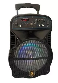 Boxa Bluetooth Activa Profesionala Troller Bluetooth Aux Radio Fm Usb ...