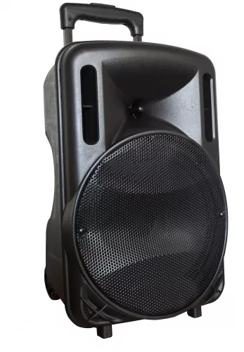 Boxa Portabila Temeisheng Port Usb Card Micro Sd/tf Aux In 2 Microfoane ...