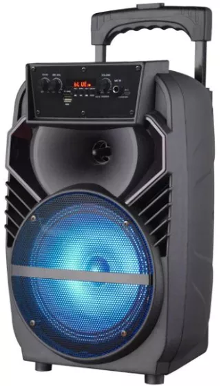 Boxa Portabila Tip Troller Cu Microfon Wi-fi Bluetooth Fm Usb Card Sd ...