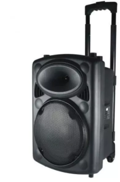 Boxa W12 - Karaoke / Bt / Usb / Fm Cu Telecomanda Si Microfon Neagra ...