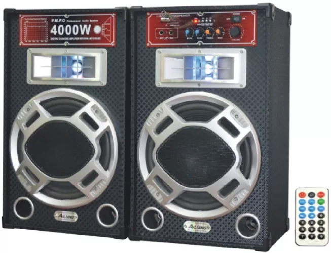 Boxe Profesionale Ailiang Usb Sd Card Radio Fm Bluetooth Telecomanda ...