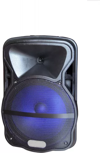 Set Boxa Profesionala Puternica Difuzor 15 jxep_225786639 - cel.ro